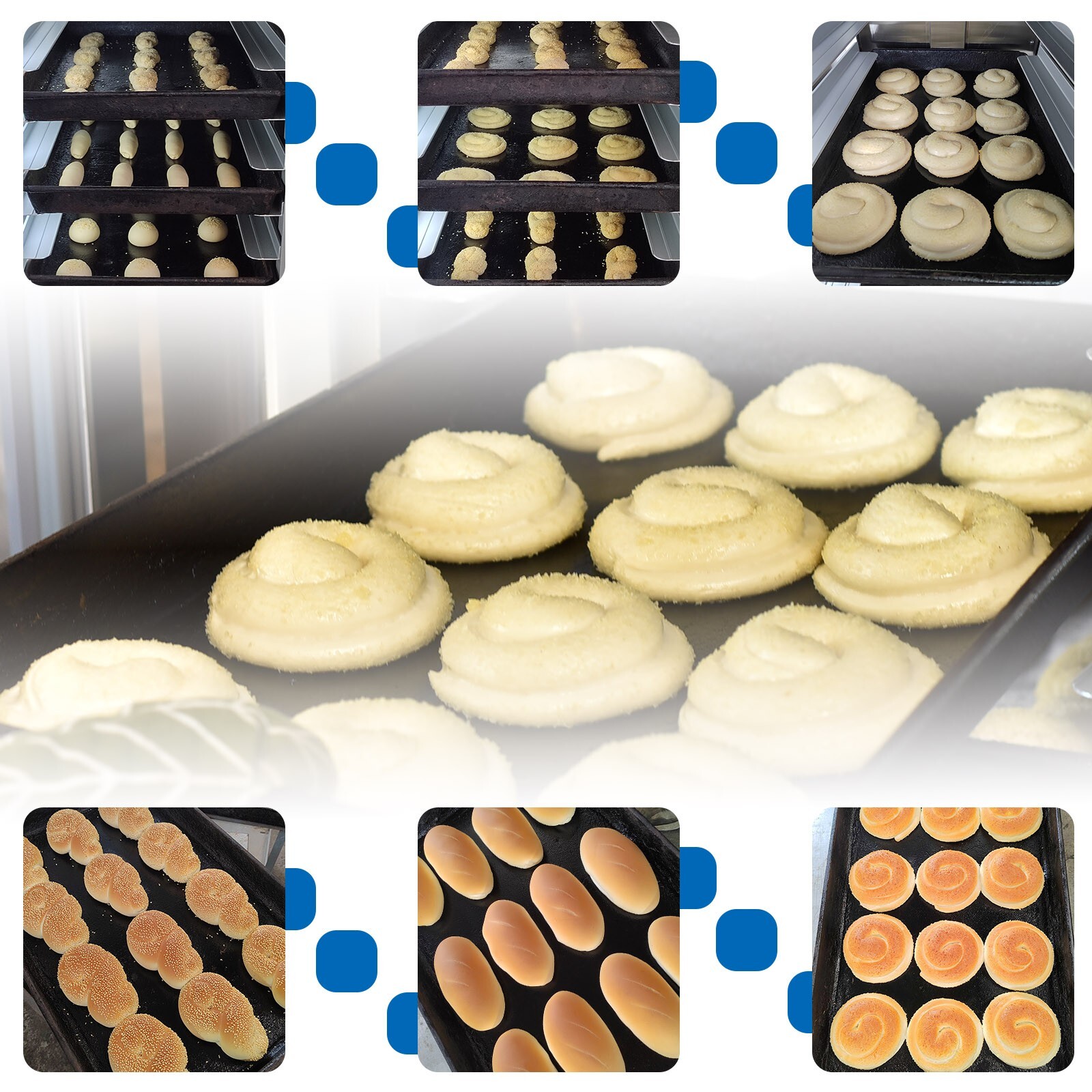 Kolice Commercial Baking Proofer Machine 16 Trays, 600L Temperature : 0 ...