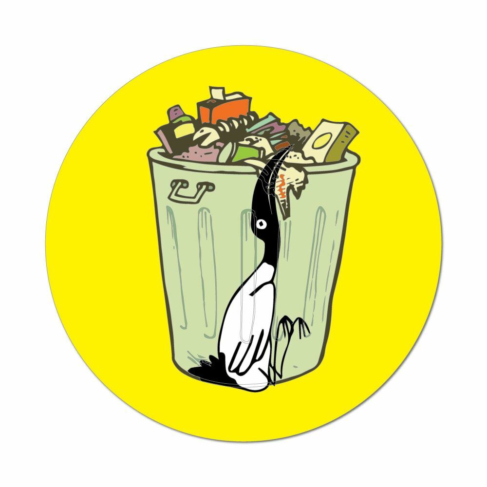 Derpy Bin Chicken With Rubbish Car Sticker Decal Funny Sydney Bird ...