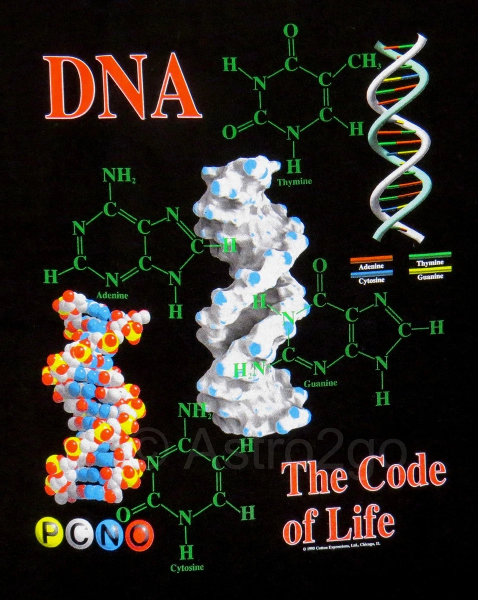 Biology Science Dna