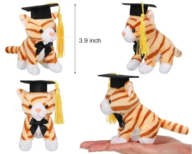 Grumpy Cat Graduation Cap