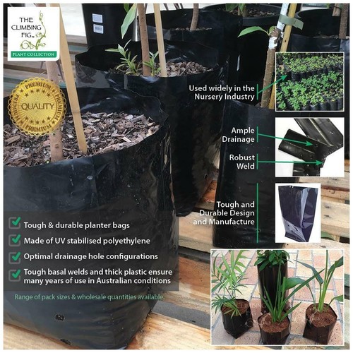 75 Litre PREMIUM Poly Black Planter Bags. Grow citrus plants shrubs ...