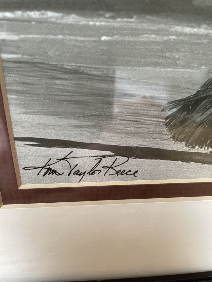 Kim Taylor Reece Framed Hula Photo | eBay UK