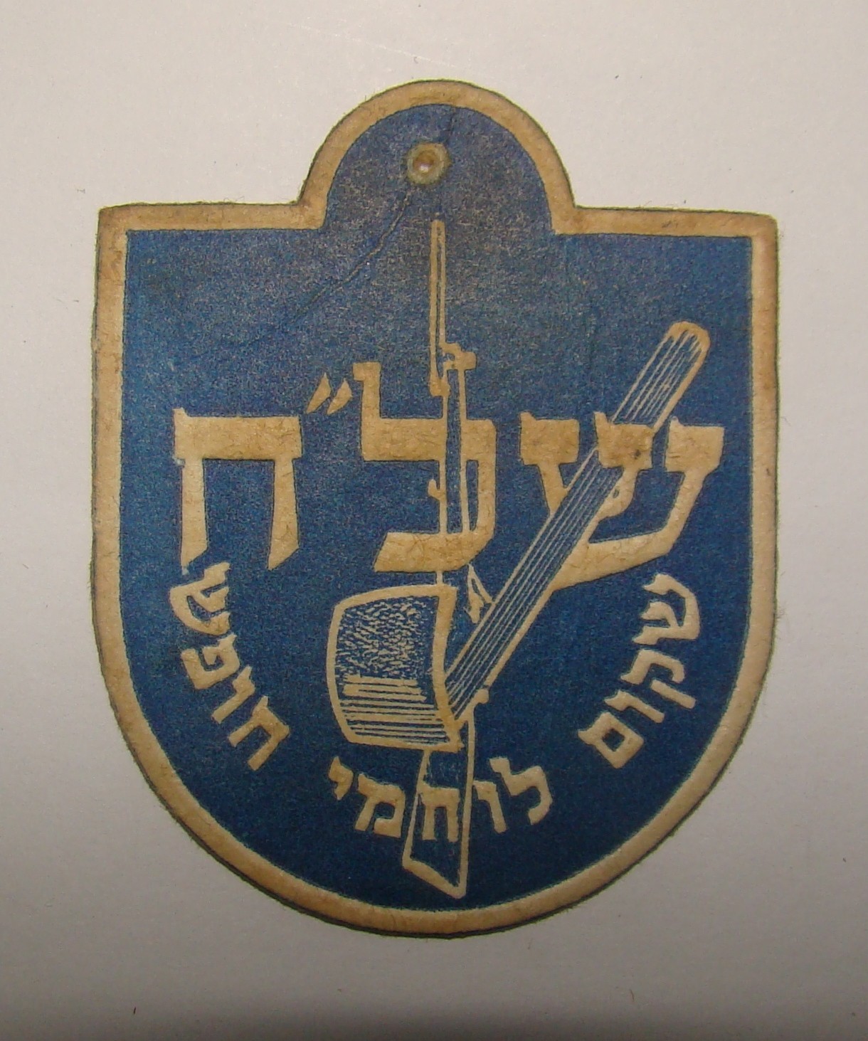 Pol jewish vintage israel Underground Herut Etzel Lehi Fighters Protest ...