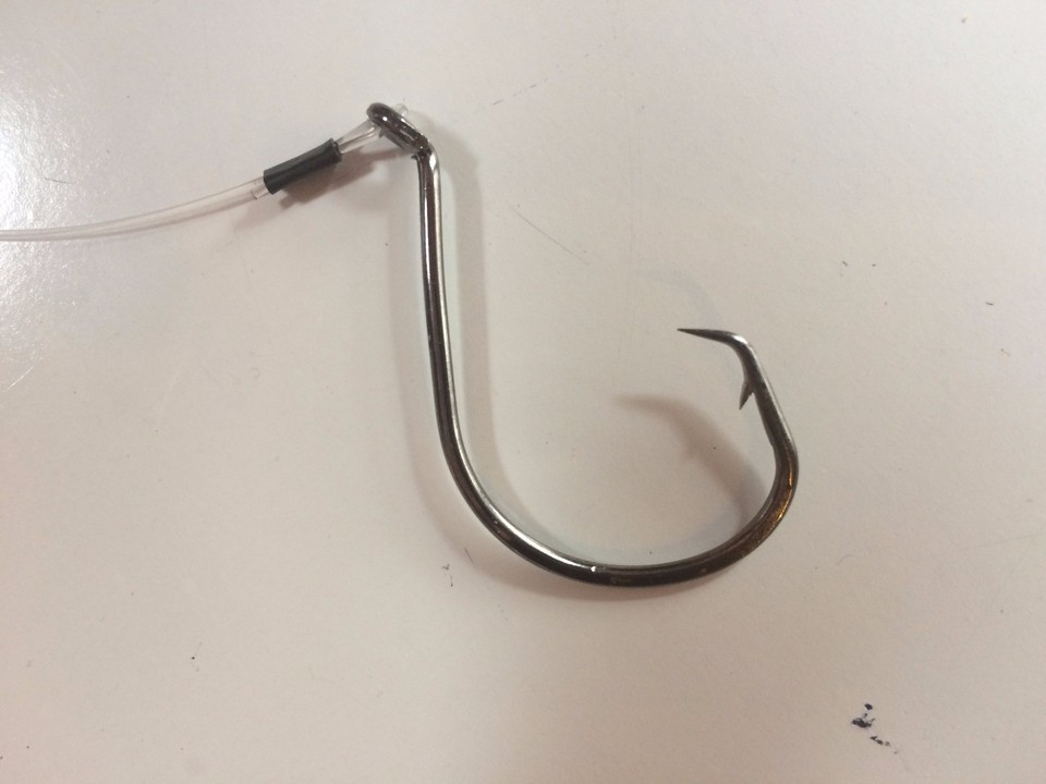 6 pack Drum Rigs,Striper Rigs Surf Rig fish finder 6/0 circle hooks | eBay