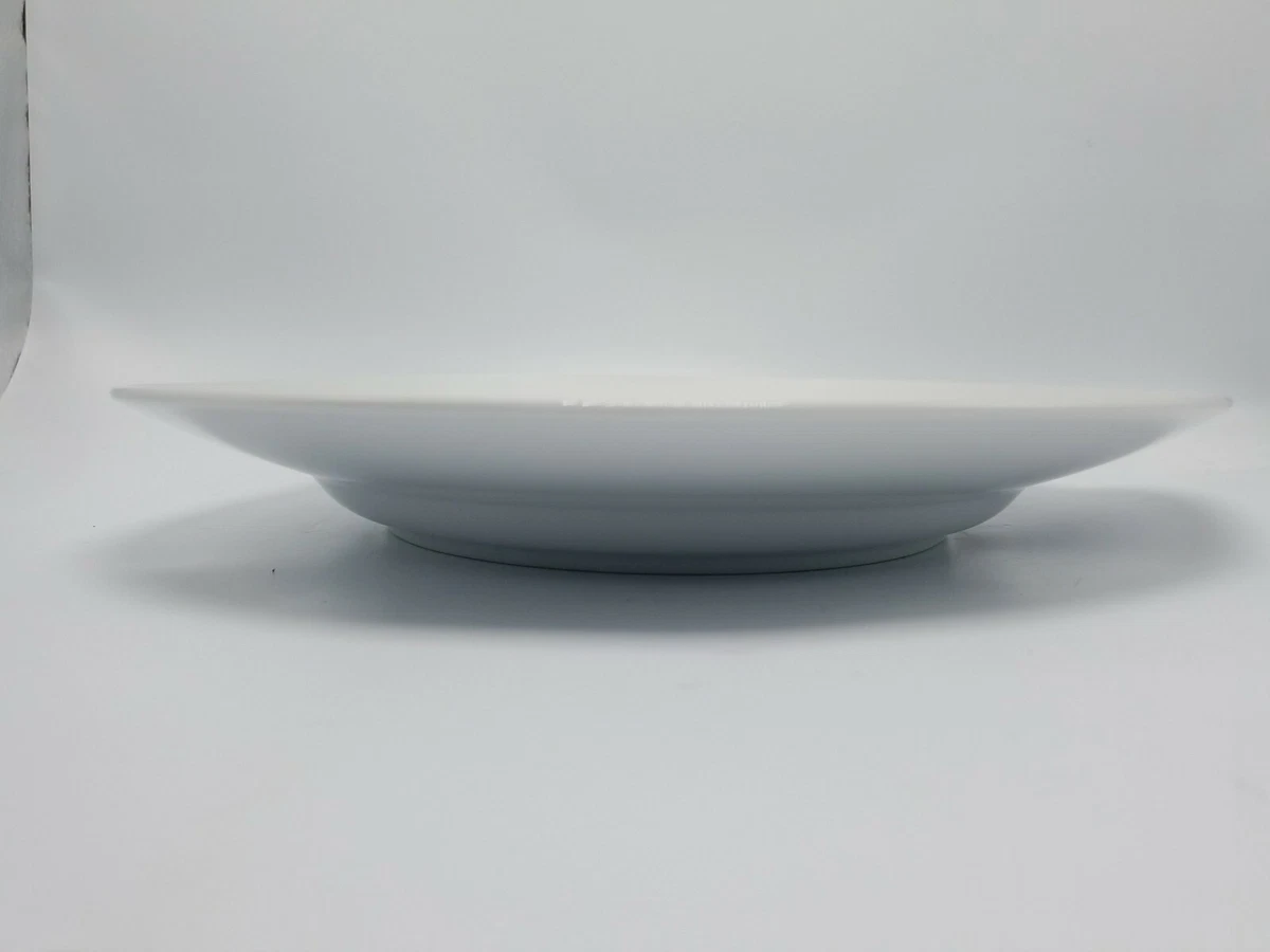 Dinner Plate Side View