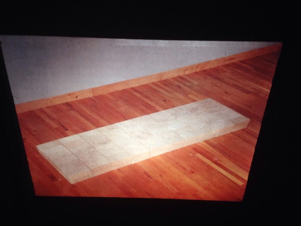 Carl Andre Equivalent Viii