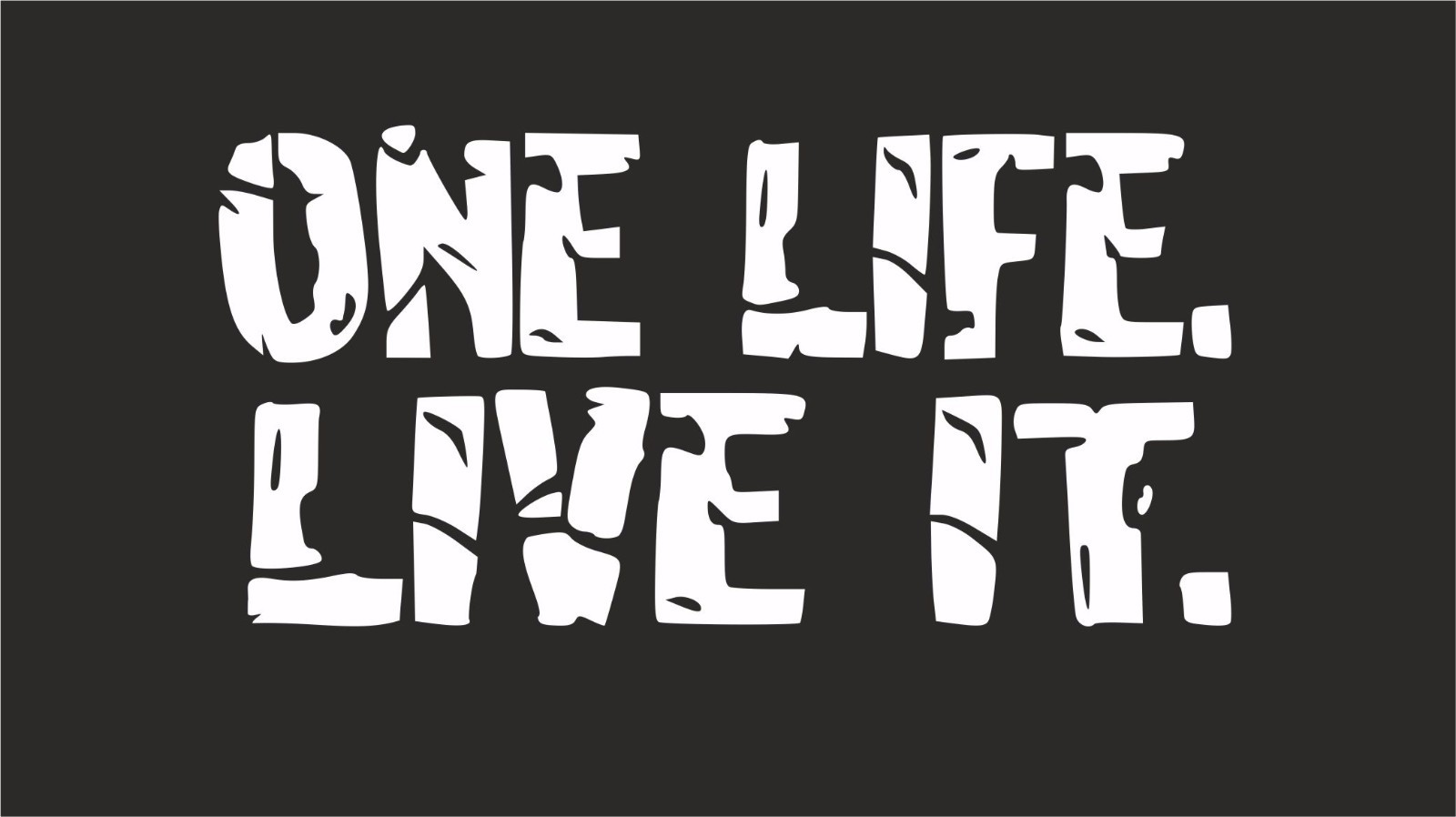 2 x ONE LIFE LIVE IT, STICKERS, Camel Trophy, 4x4 Off Road, Funny | eBay.de