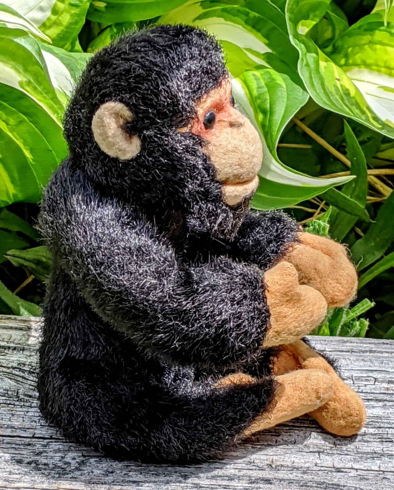 Antique Pre-war Miniature Mohair Steiff/Schüco Pincushion Monkey Toy ...