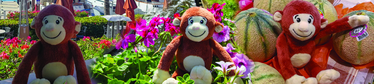 Yonkey Monkey Store | eBay Stores