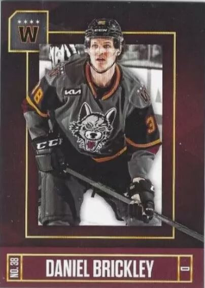 AHL ECHL NCAA USHL NAHL OHL WHL CHL WHA Hockey Team Issued Trading ...