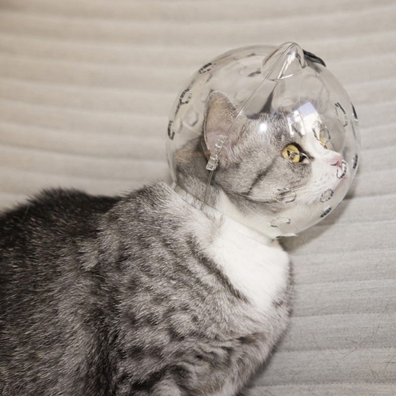 Cat Muzzle Clear Helmet Breathable Grooming Mask Suitable for Cats ...