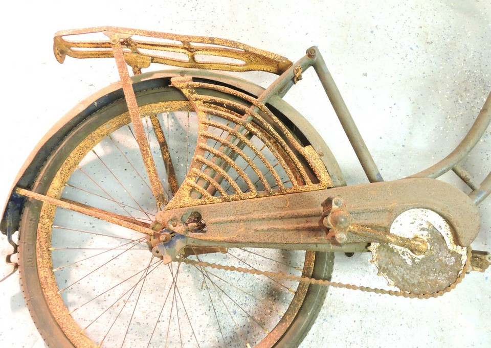 Elgin vintage FUNKY chain-guard bicycle, skiptooth, step thru, fenders ...