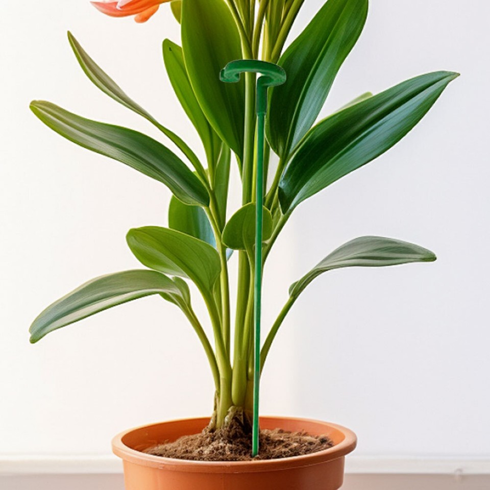 - Pali di supporto per piante Supporto per fiori con stelo singolo da ...