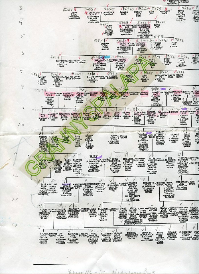 Rolled Genealogy / Pedigree Chart 40" x 15" - LANE Family Genealogy ...
