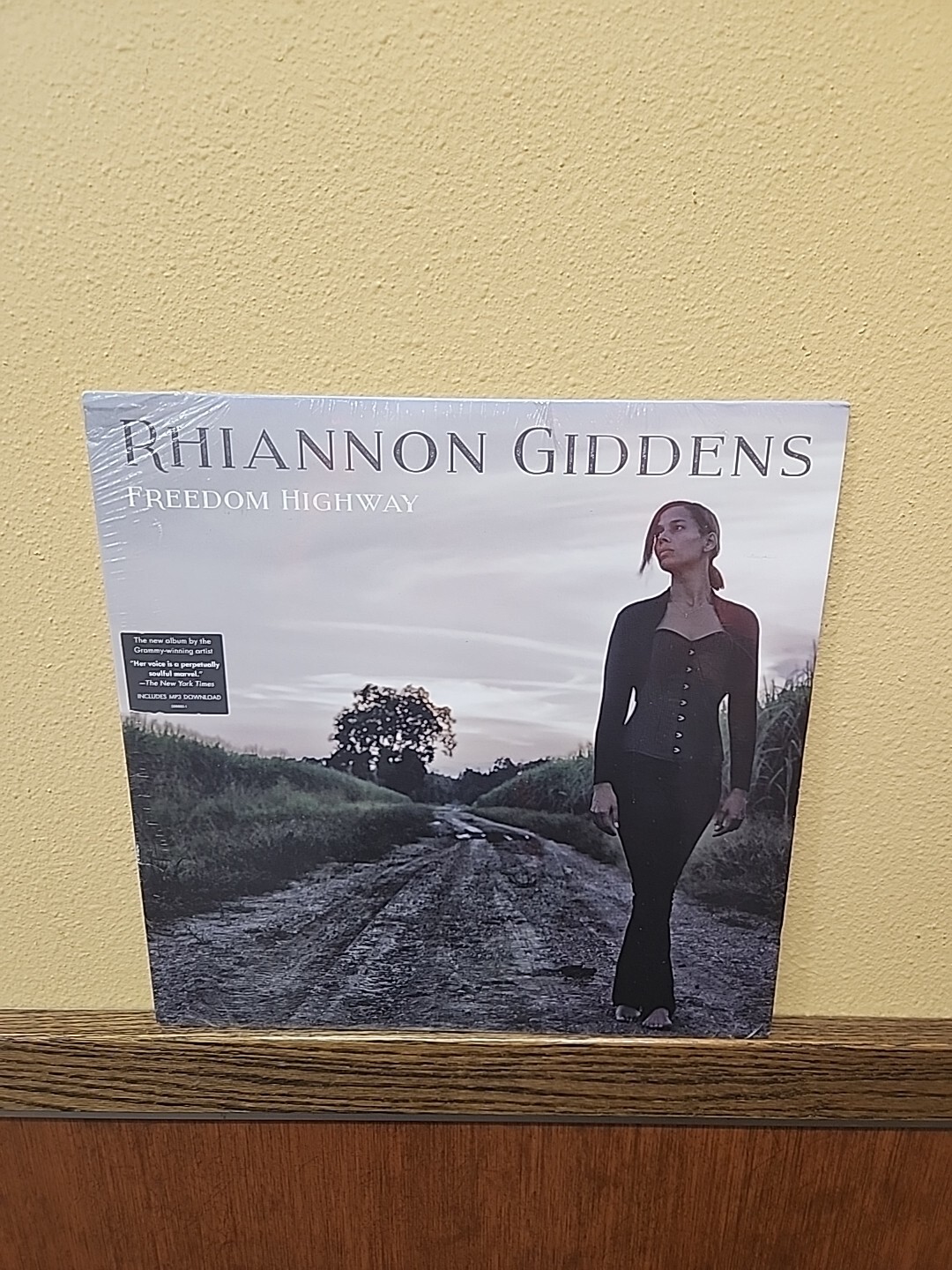 Freedom Highway by Giddens, Rhiannon (Record, 2017) for sale online | eBay