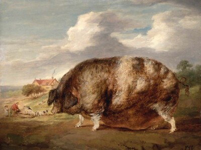 Art Oil painting animal big pig Breeding pig Rare animals in landscape ...