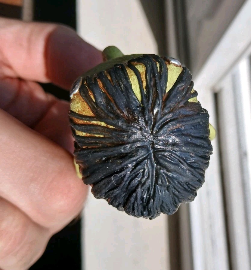 Frankenstein Latex Mask Hand Painted Universal Monsters Horror Boris Karloff | eBay