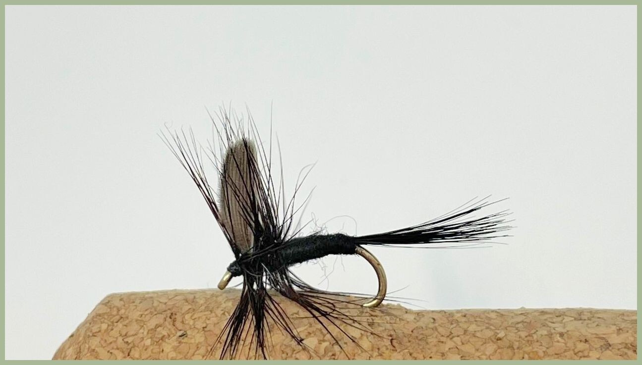 Dry Trout Flies, 12 x Black Spider / Black Gnat Small Size 16/18/20 ...