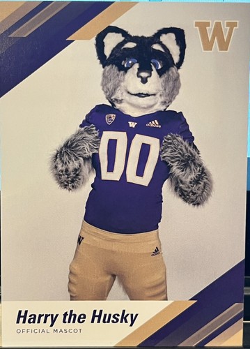HARRY THE HUSKY - 2022 Washington Husky Trading Card | eBay