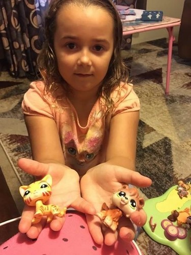 2pcs Littlest Pet Shop RARE Yellow Orange Cat Green Eyes LPS #1451 ...