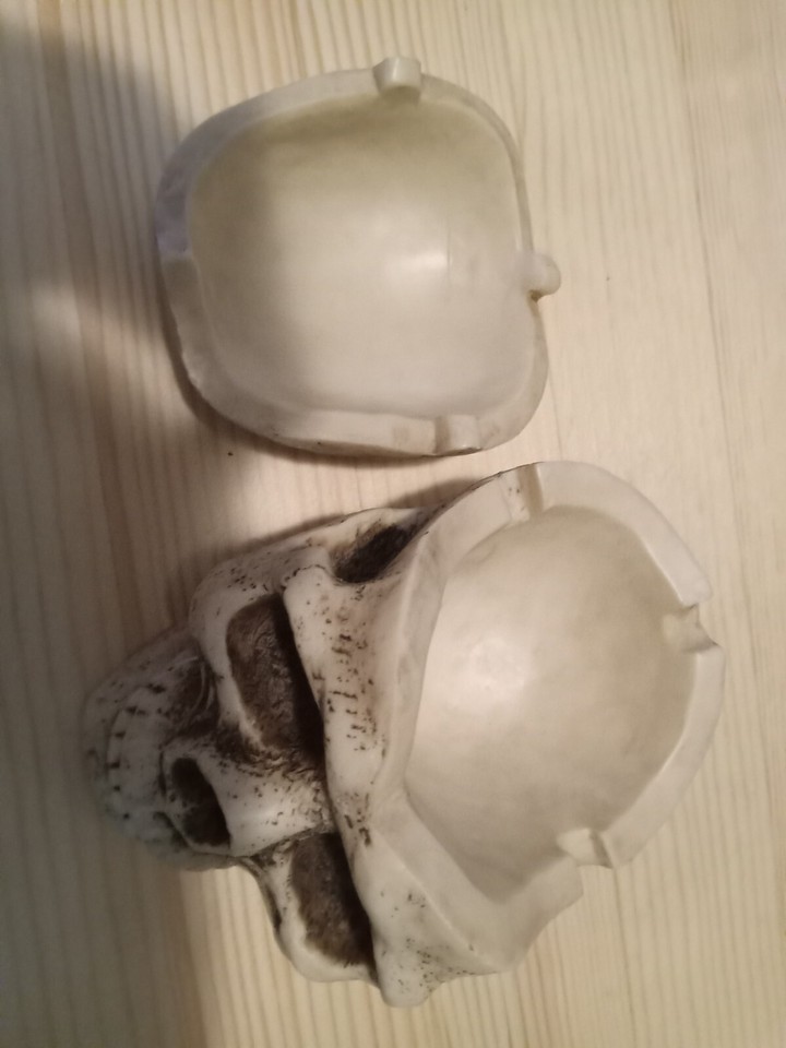 Veronese Skull Head Ashtray/Container "New" | eBay