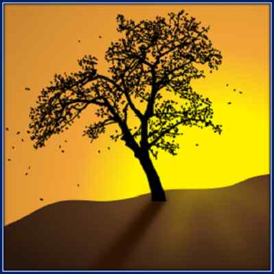 30 Custom Sunset Tree Personalized Address Labels | eBay