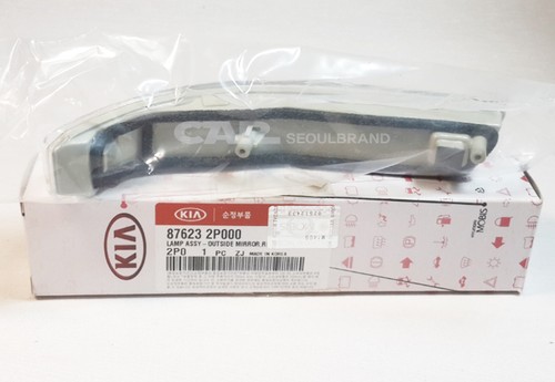 KIA 11~14 Sorento Outside Mirror Right Side Signal Lamp Genuine OEM ...