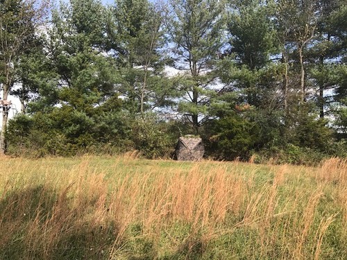 Primos Club XL Blind Mossy Oak Country 65107 for sale online | eBay