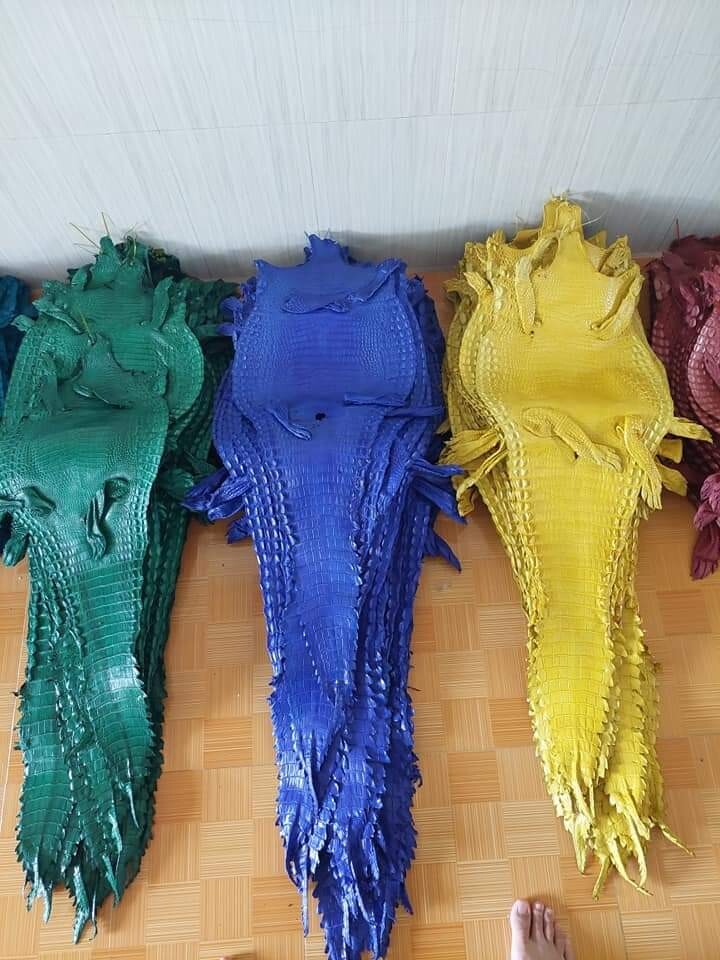 Green 30/20mm Genuine Exotic Leather Skin Watch Strap Band For BVL OCTO ...