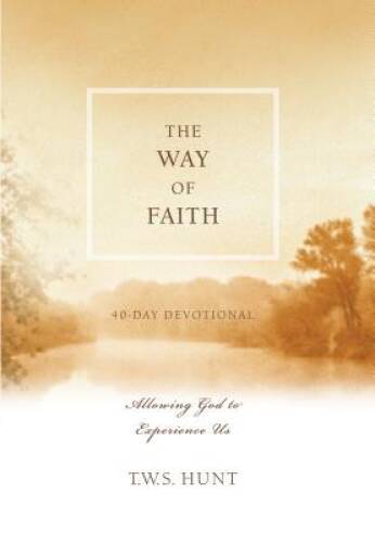The Way of Faith: Allowing God to Experience Us - Hardcover - GOOD ...