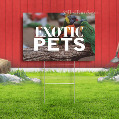 Exotic Pets - One-Sided Yard Sign with Metal Stakes | eBay