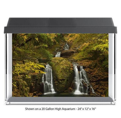 River Water Fall Forest Fish Tank Glass Back Drop Aquarium Back Ground ...
