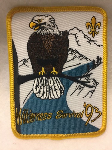 (jab14) Boy Scouts- Wilderness Survival '93 "Bald Eagle" patch | eBay