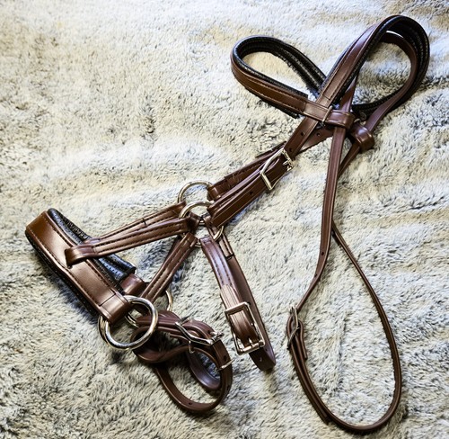 Biothane Padded Sidepull | eBay