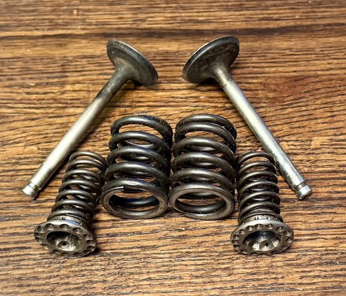 Parilla 175cc 250cc Tourist Speedster High Cam Valve Set w/ Springs ...