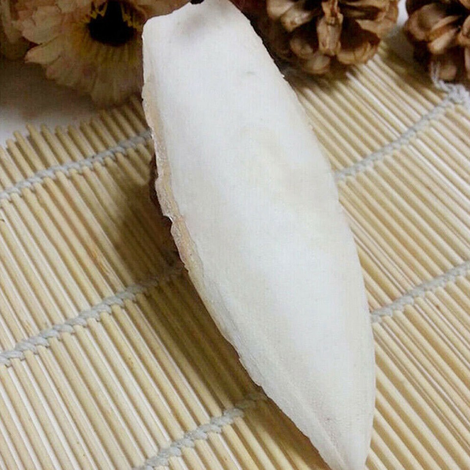 20 PCS Cuttlebone for Birds Parrot Chewing Cuttle Bone for Sharp Beaks ...