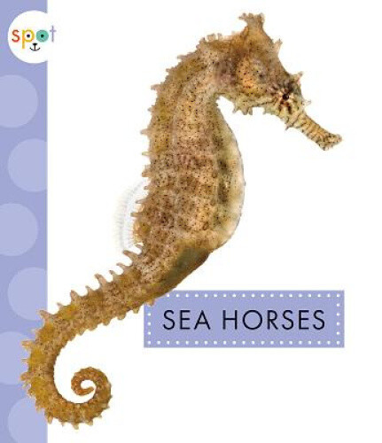 Sea Horses (Spot Ocean Animals) by Schuh, Mari C. 9781681524177 | eBay