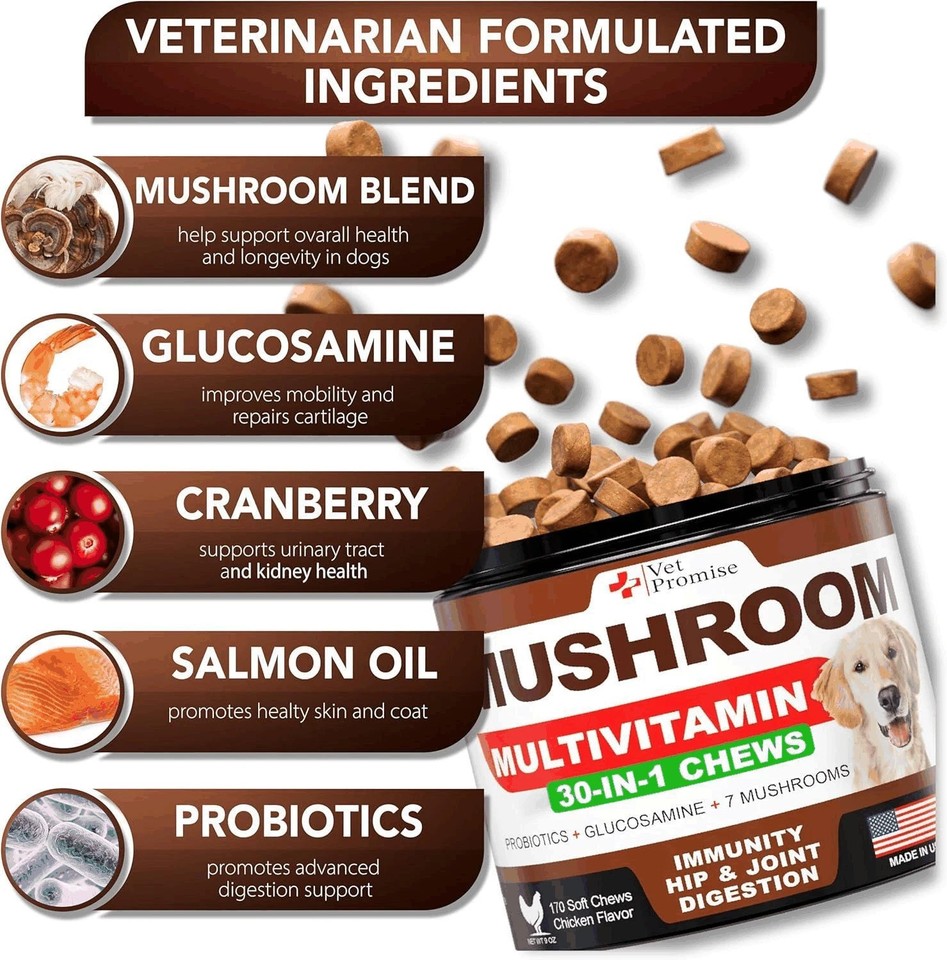 Mushroom for Dogs 170 Chews Turkey Tail Mushroom for Dogs Lions Mane ...