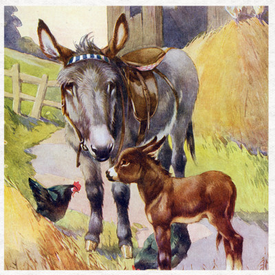 Donkey - Donkey & Foal - Fabric Craft Panels in 100% Cotton or ...