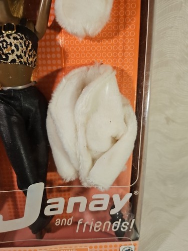 RARE 2001 Integrity Toys Janay & Friends Fashion Doll NRFB #10033 ...