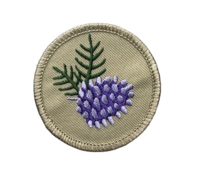 BSA Licensed Boy Scout Purple Pine Cone Patrol 2 Inch Patch AVABQ0327 ...