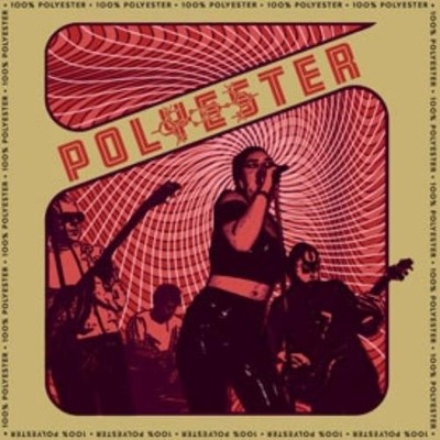 Polyester 100% Polyester (Vinyl) (UK IMPORT) | eBay