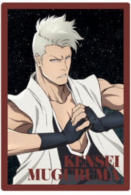 BLEACH Trading Card W#2 No.23 Kensei Muguruma BANDAI Japan | eBay