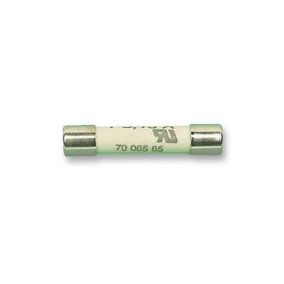 RT08400 70-065-65 2A Siba Fusibile Antisurge 2A | eBay