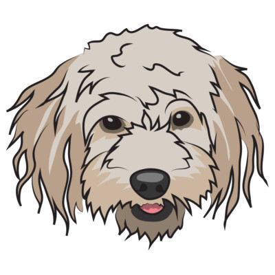 Cavachon Dog Decal Dog Lover Decor Vinyl Sticker | eBay