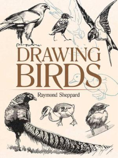 Raymond Sheppard Drawing Birds (Paperback) 9780486820323 | eBay