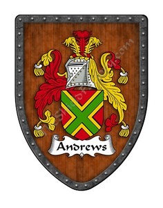 Andrews Family Custom Crest Coat of Arms Hanging Shield SH503P-DG-HG | eBay