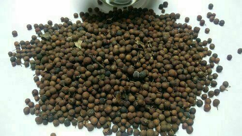 Vidanga False,Vaividang, Vavding, Pepper Embelia Ribes, Indian Herbs ...