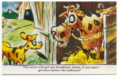 Cartoon Comic Humor Cow Calf Milkman Vintage Postcard | eBay