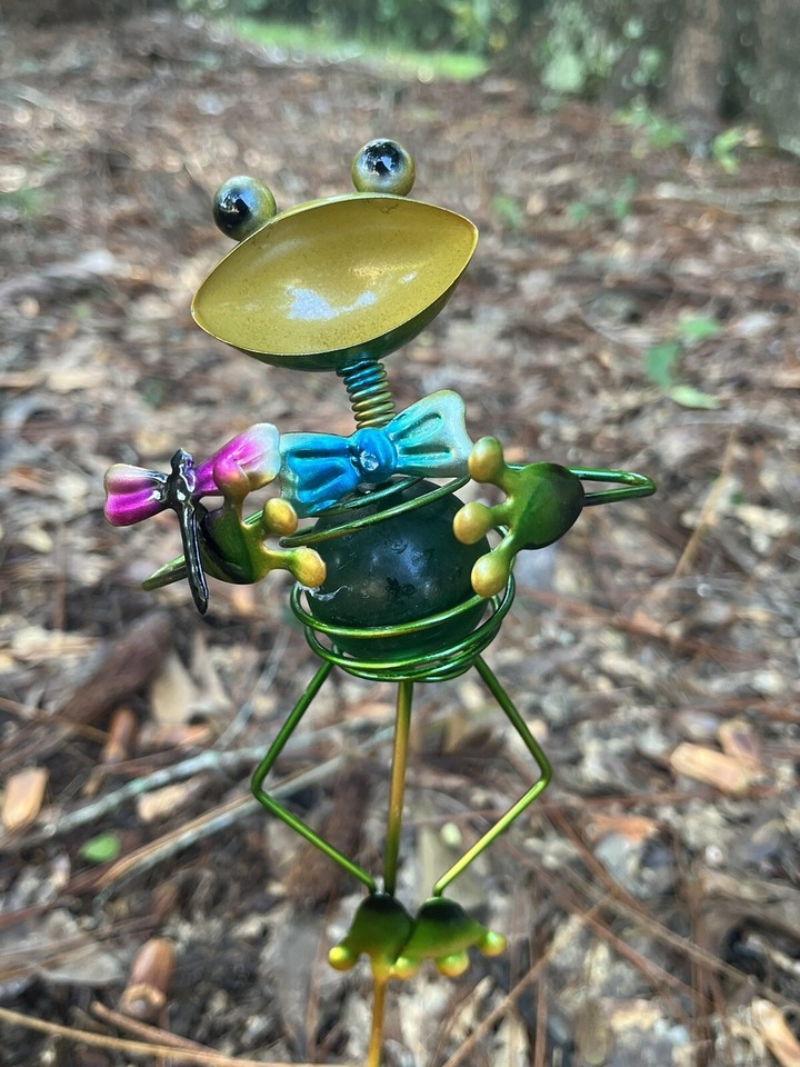 Mr. Wiggles Metal Frog Flower Garden Pick Frog Dragonfly Garden Frog U5f | eBay